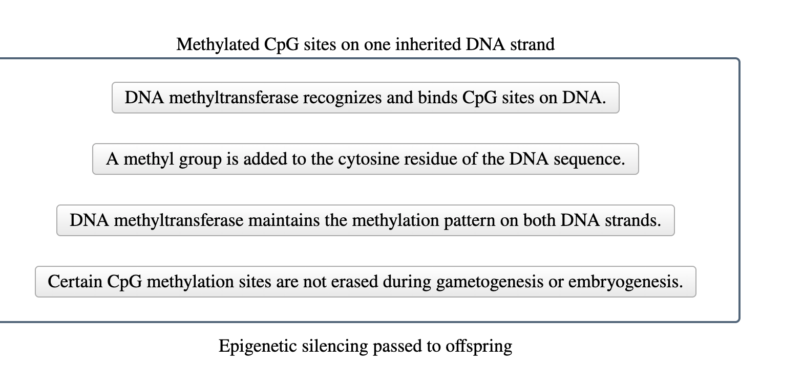Solved Epigenetics is the study of heritable traits that are | Chegg.com