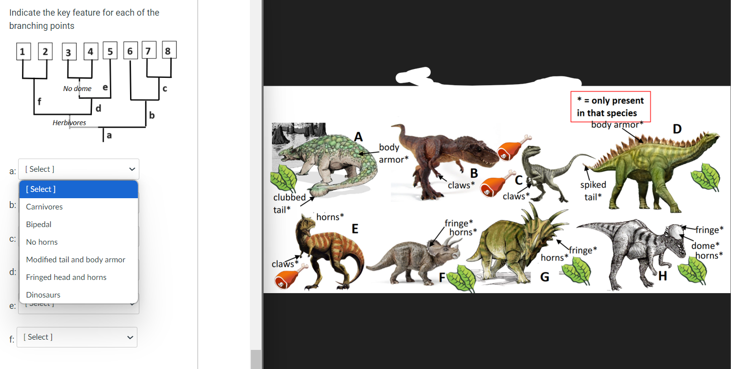 Solved Indicate the key feature for each of the branching | Chegg.com