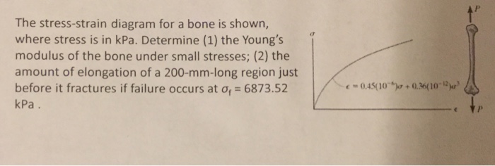 Solved The stress-strain diagram for a bone is shown, where | Chegg.com