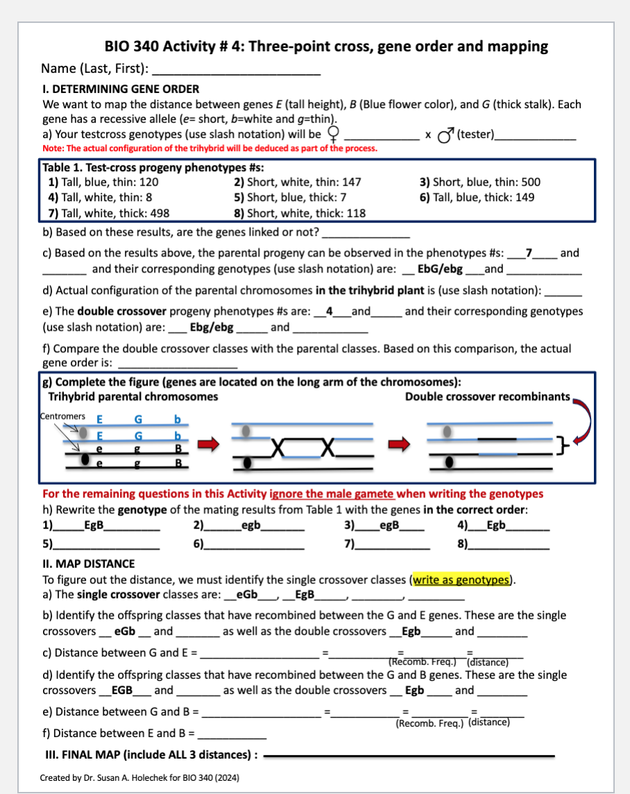 Solved BIO 340 ﻿Activity # 4: Three-point cross, gene order | Chegg.com