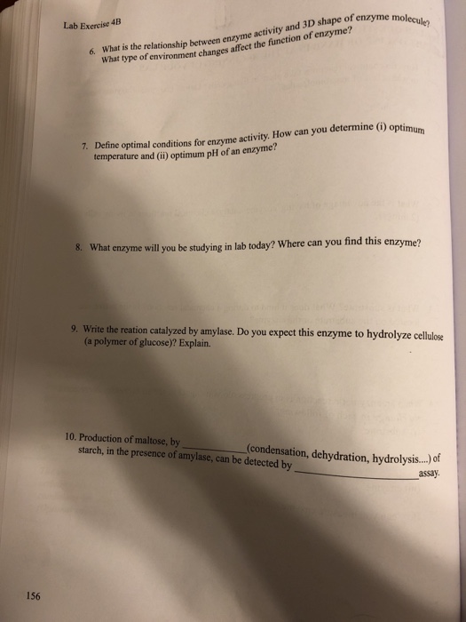 Solved EXERCISE 4B ENZYMES Functional and Structural | Chegg.com