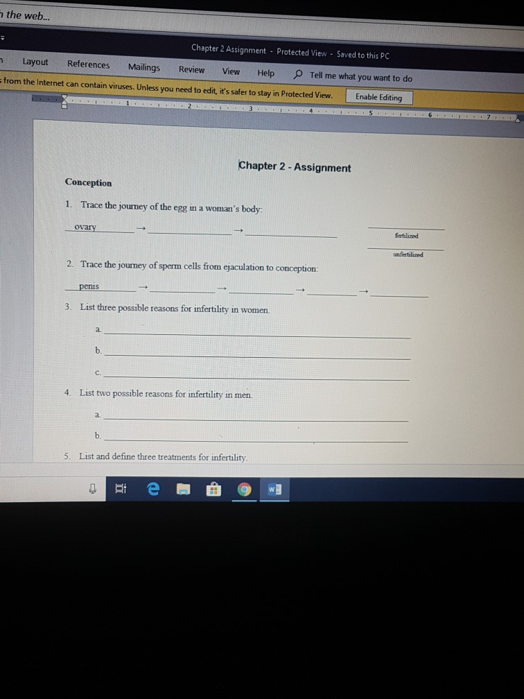 Solved the web... Chapter 2 Assignment - Protected View - | Chegg.com