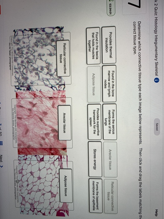 Solved: K 2 Quiz: Histology Integumentary Skeletal Help De... | Chegg.com