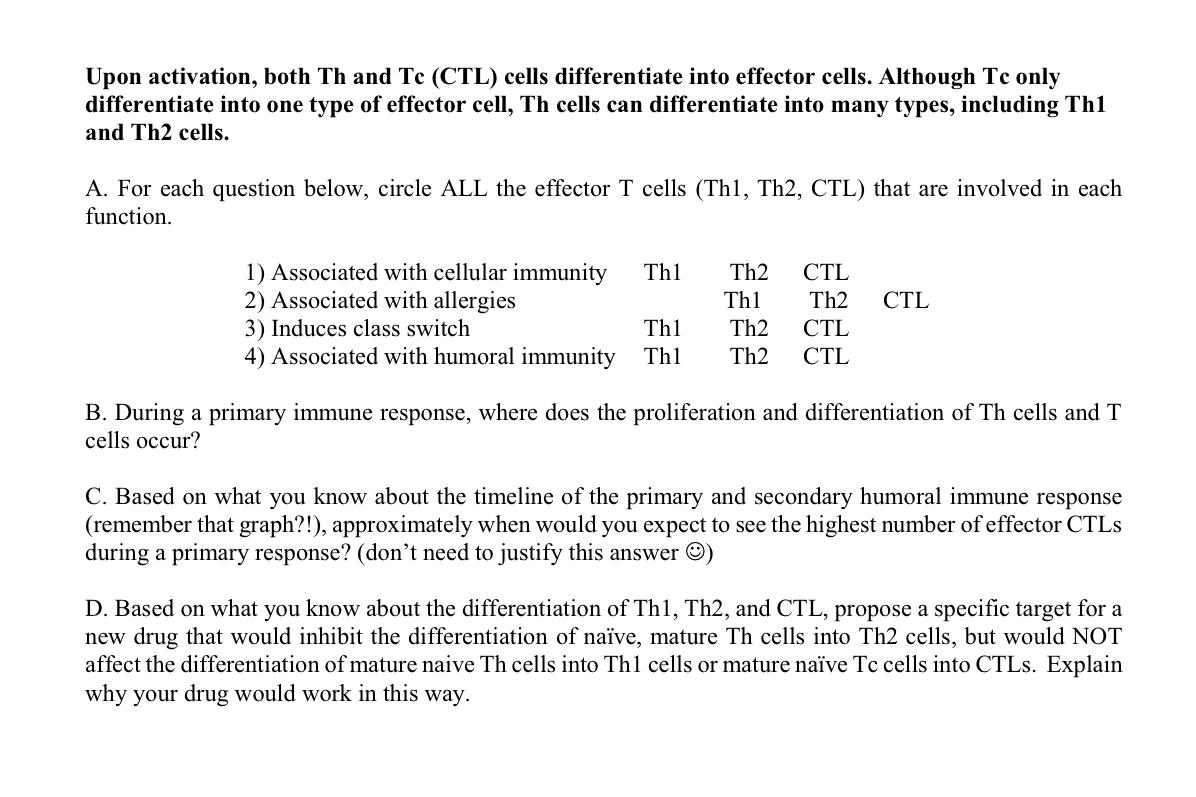 Upon activation, both Th and Tc (CTL) cells | Chegg.com