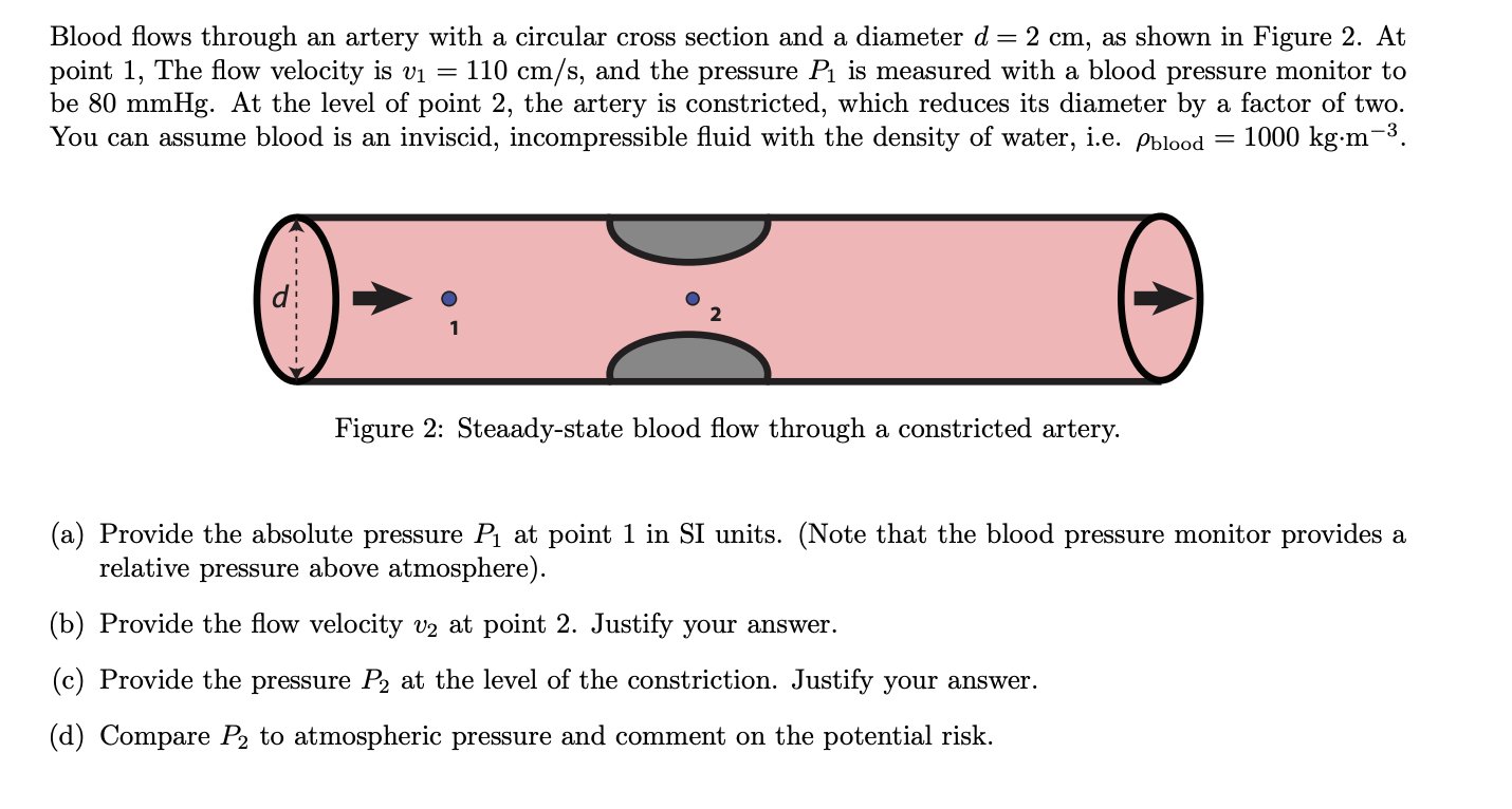 Solved Blood flows through an artery with a circular cross | Chegg.com