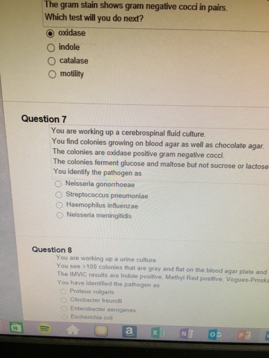 Solved The gram stain shows gram negative cocci in pairs. | Chegg.com