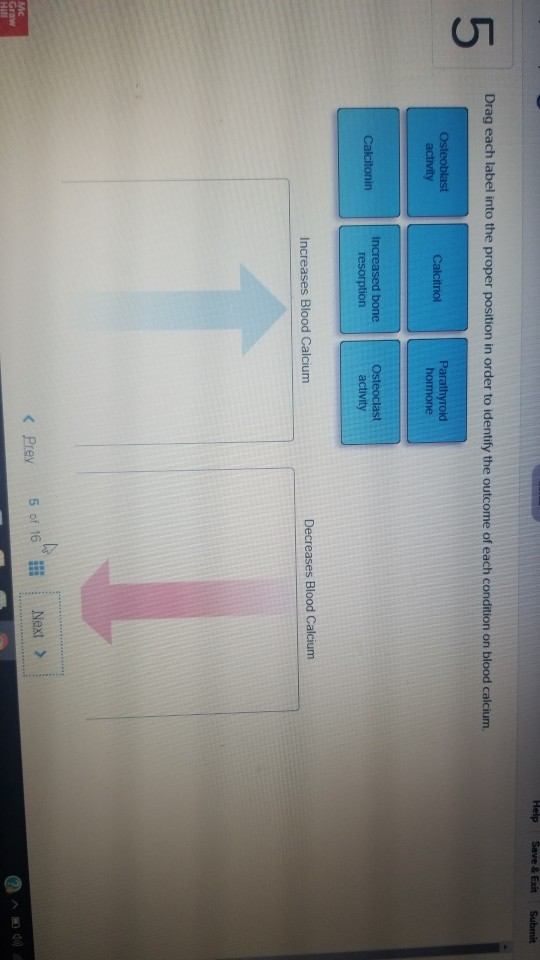 Solved Drag each label into the proper position in order to | Chegg.com