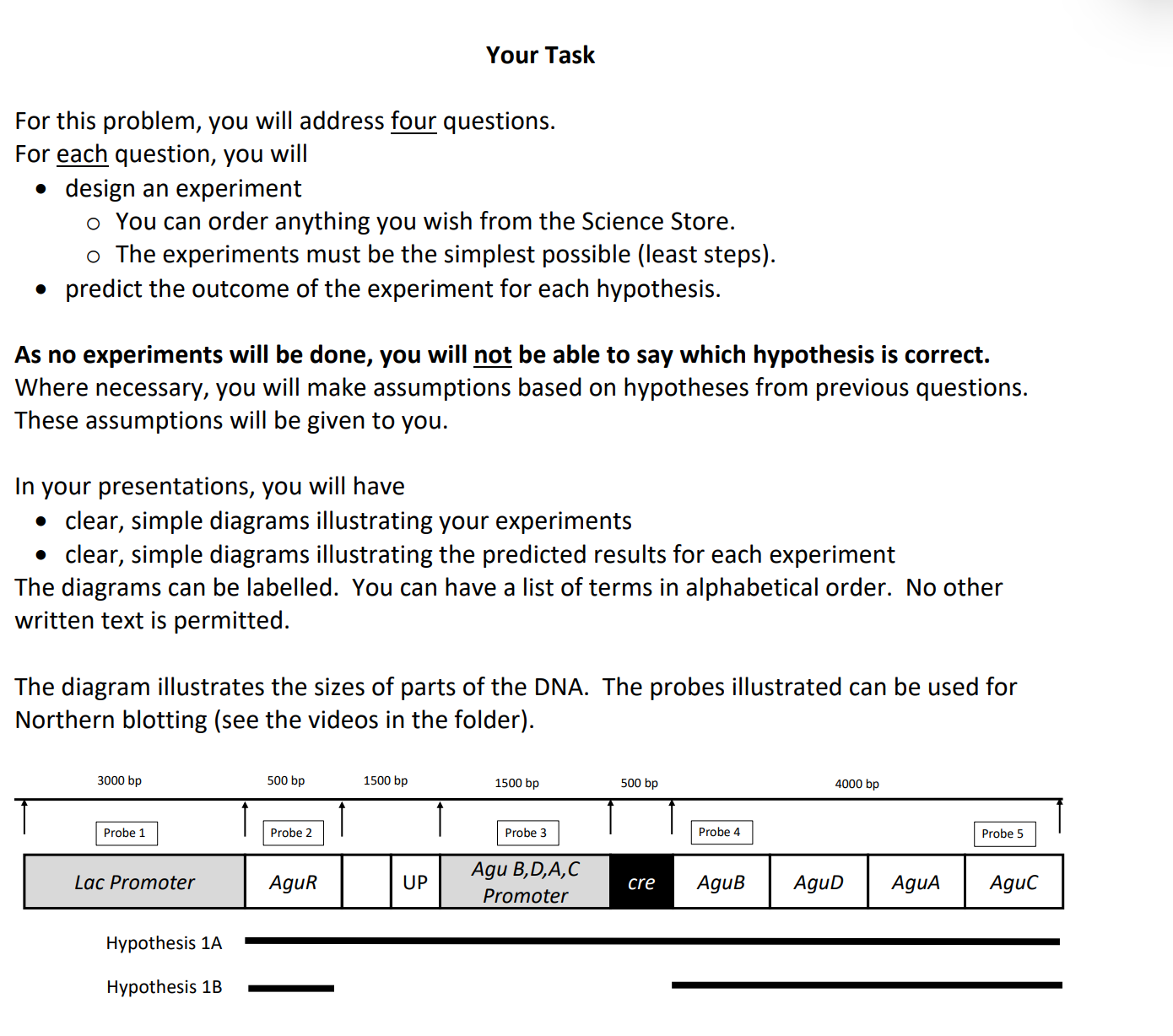 How does the presence of agmatine affect the | Chegg.com