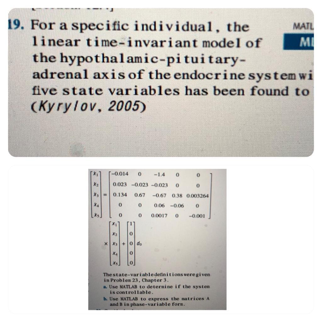 Solved 19. For a specific individual, the linear | Chegg.com