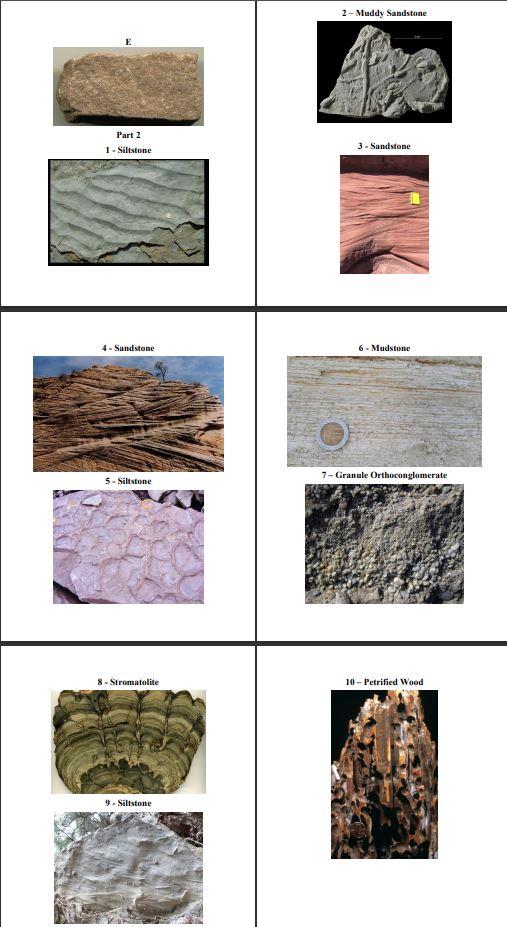Solved 2- Muddy Sandstone Part 2 1 - Siltstone 3 - Sandstone | Chegg.com