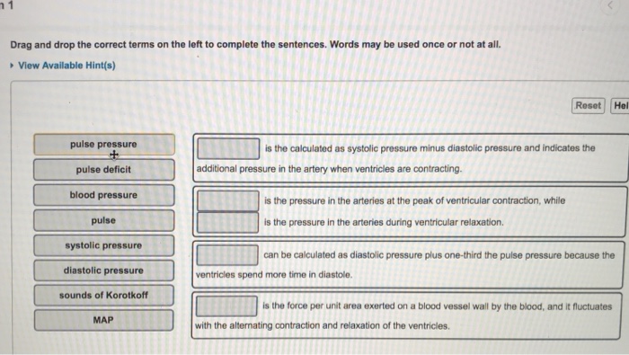 Solved Drag and drop the correct terms on the left to | Chegg.com