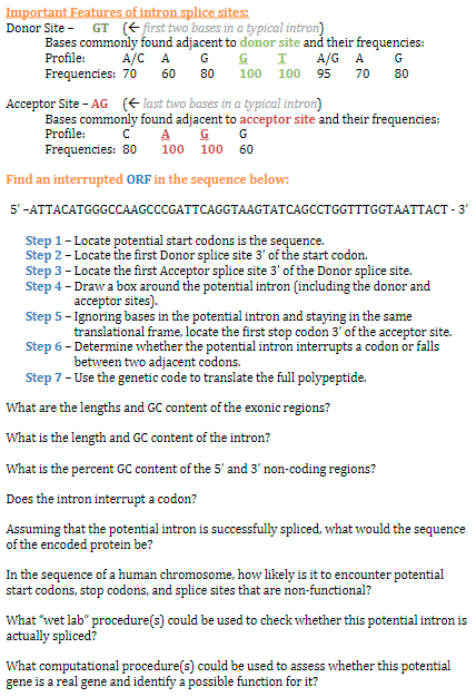 Solved Finding Open Reading Frames (ORFs) in DNA Sequences | Chegg.com