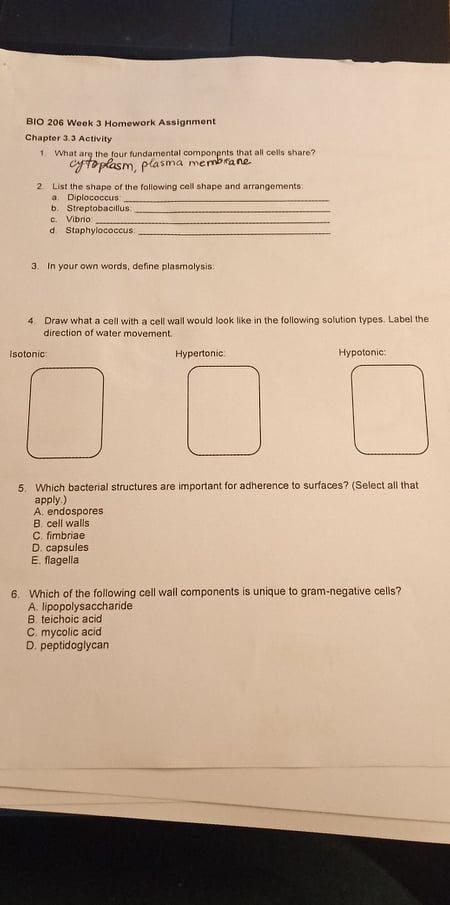 Solved BIO 206 Week 3 Homework Assignment Chapter 3.3 | Chegg.com