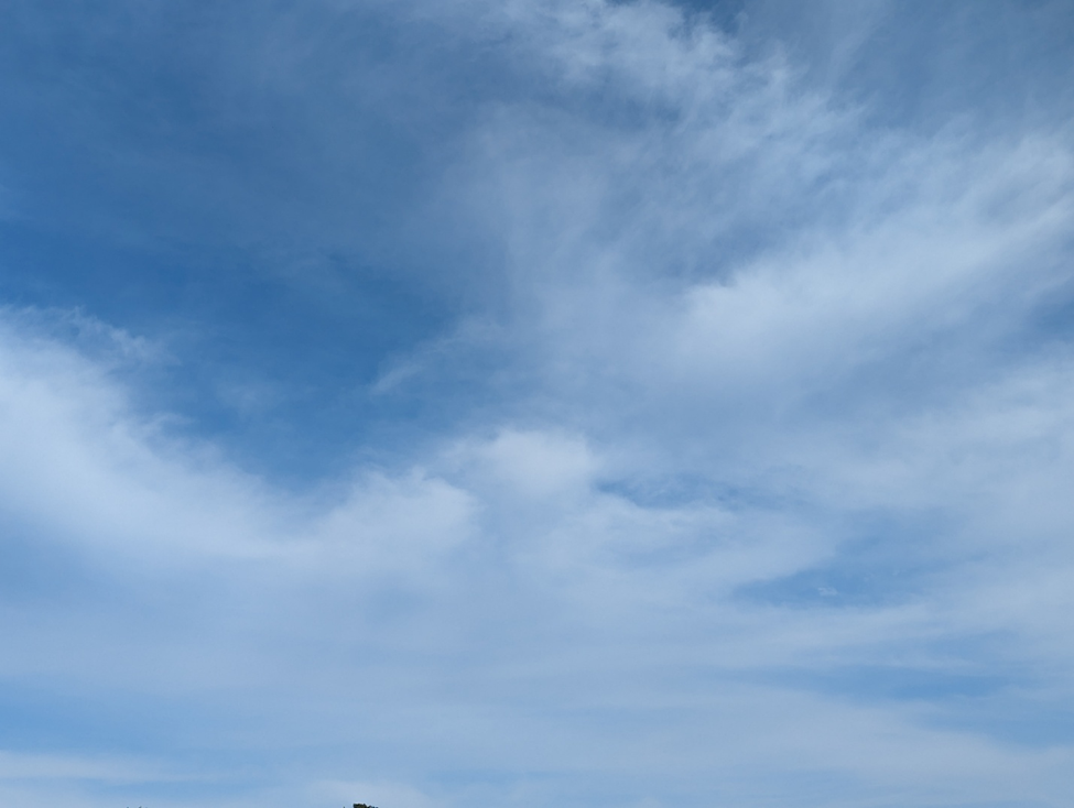 Solved Cloud type please and thank you | Chegg.com