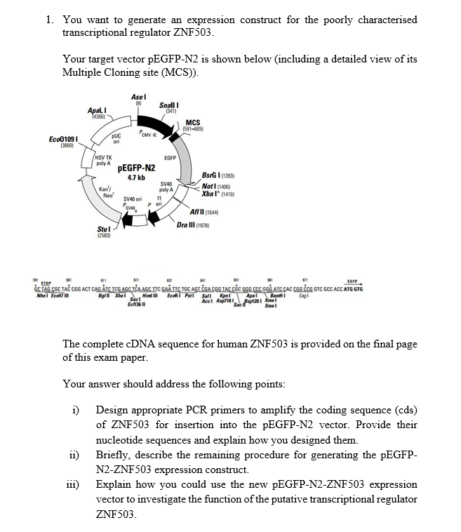 Solved 1. You want to generate an expression construct for | Chegg.com