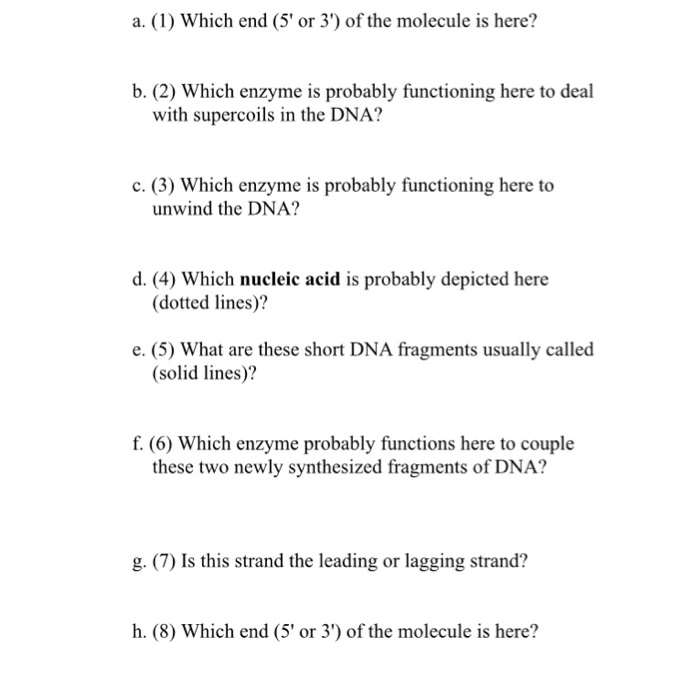 Solved 1. Write the correct complementary sequence to: 5'- | Chegg.com
