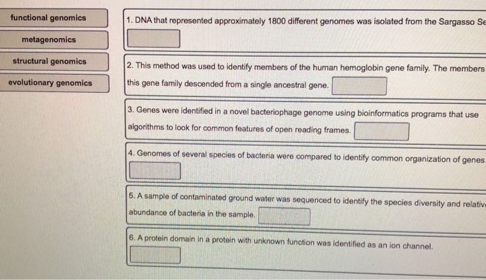 Solved functional genomics metagenomics structural genomics | Chegg.com