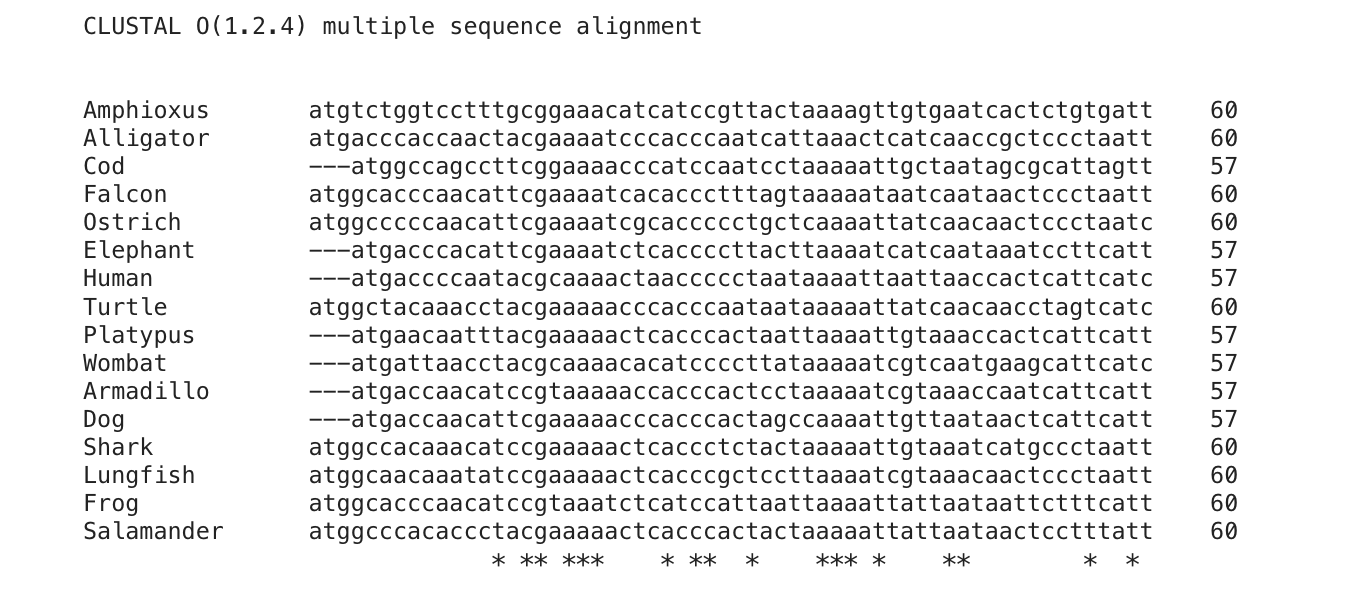 Solved The file cytbDNA.tat contains the nucleotide | Chegg.com