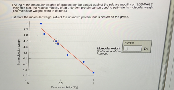 Solved The log of the molecular weights of proteins can be | Chegg.com