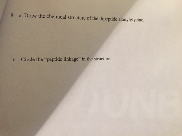 Solved 8. a. Draw the chemical structure of the dipeptide | Chegg.com