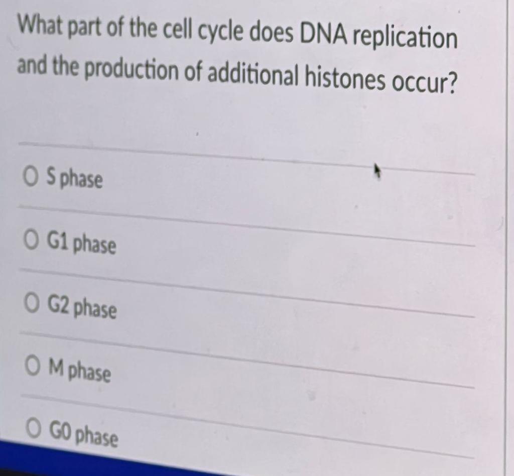 Solved What part of the cell cycle does DNA replication and | Chegg.com