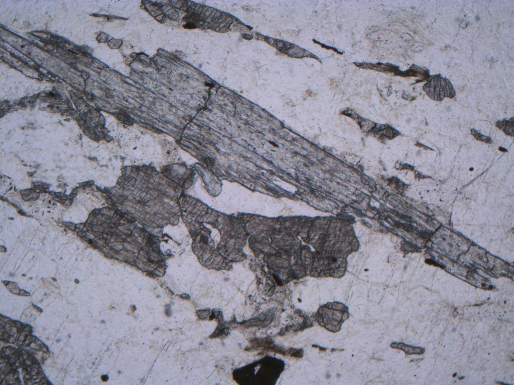 Solved Identify the main mineral in each rock (or “matrix” | Chegg.com