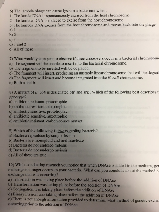 Solved 6) The lambda phage can cause lysis in a bacterium | Chegg.com