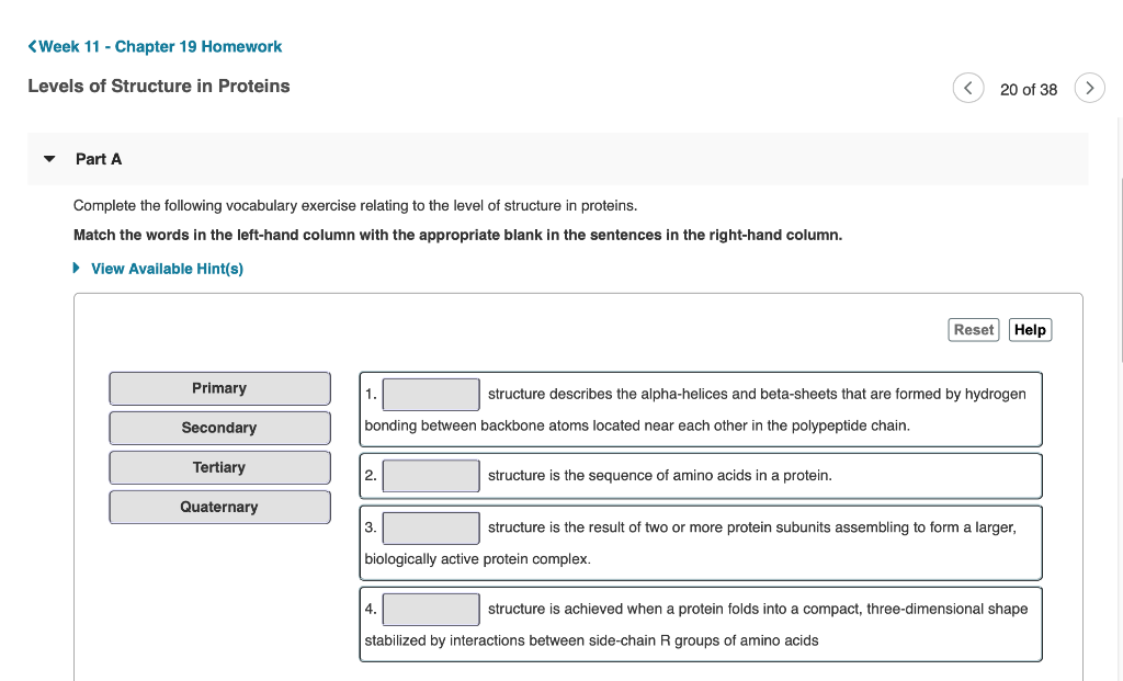 Solved Week 11-Chapter 19 Homework Levels of Structure in | Chegg.com