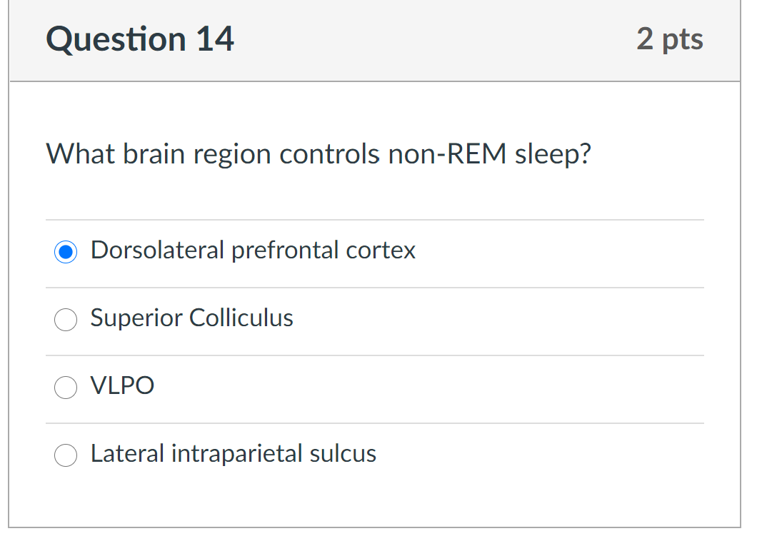 Solved Question 14 2 pts What brain region controls non-REM | Chegg.com