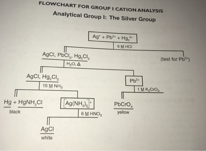 Solved FLOWCHART FOR GROUP I CATION ANALYSIS Analytical | Chegg.com