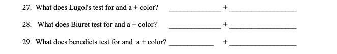 Solved 27. What does Lugol's test for and a + color? + 28. | Chegg.com