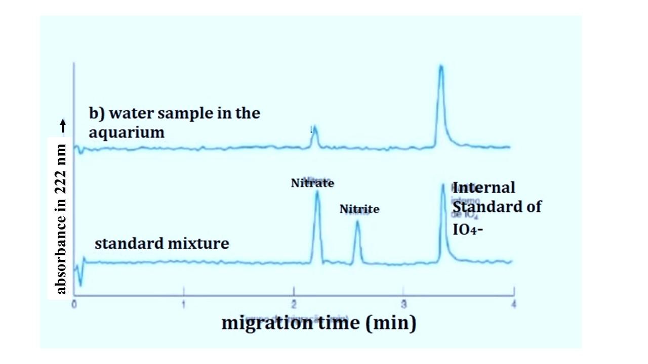 Solved The electropherogram in the adjacent figure was | Chegg.com