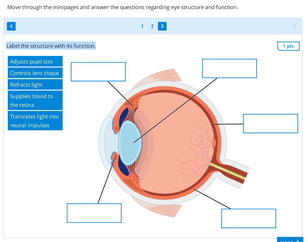 Solved Move through the minipages and answer the questions | Chegg.com