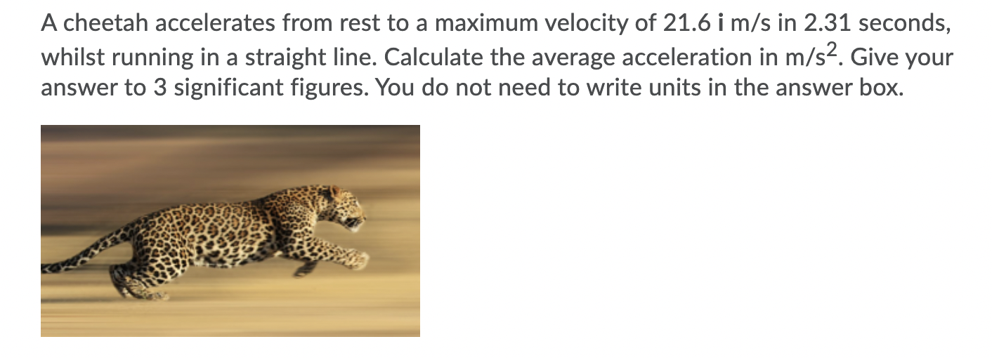 Solved A cheetah accelerates from rest to a maximum velocity | Chegg.com
