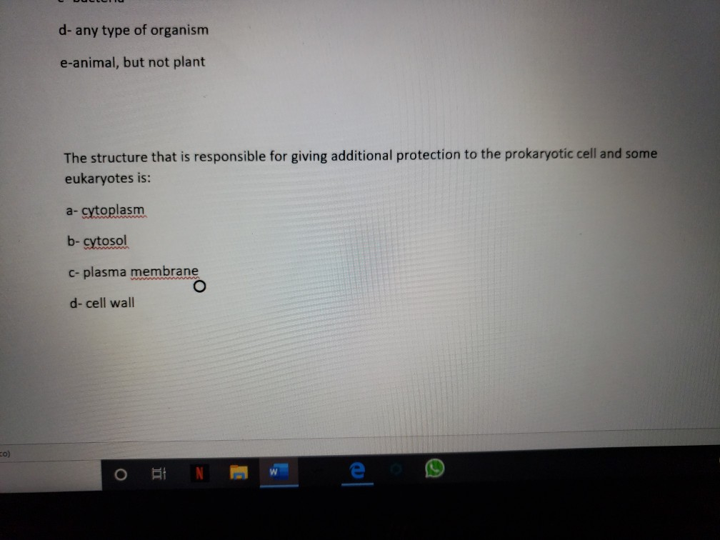 Solved sert Design Layout References Mailings Review Tell me | Chegg.com