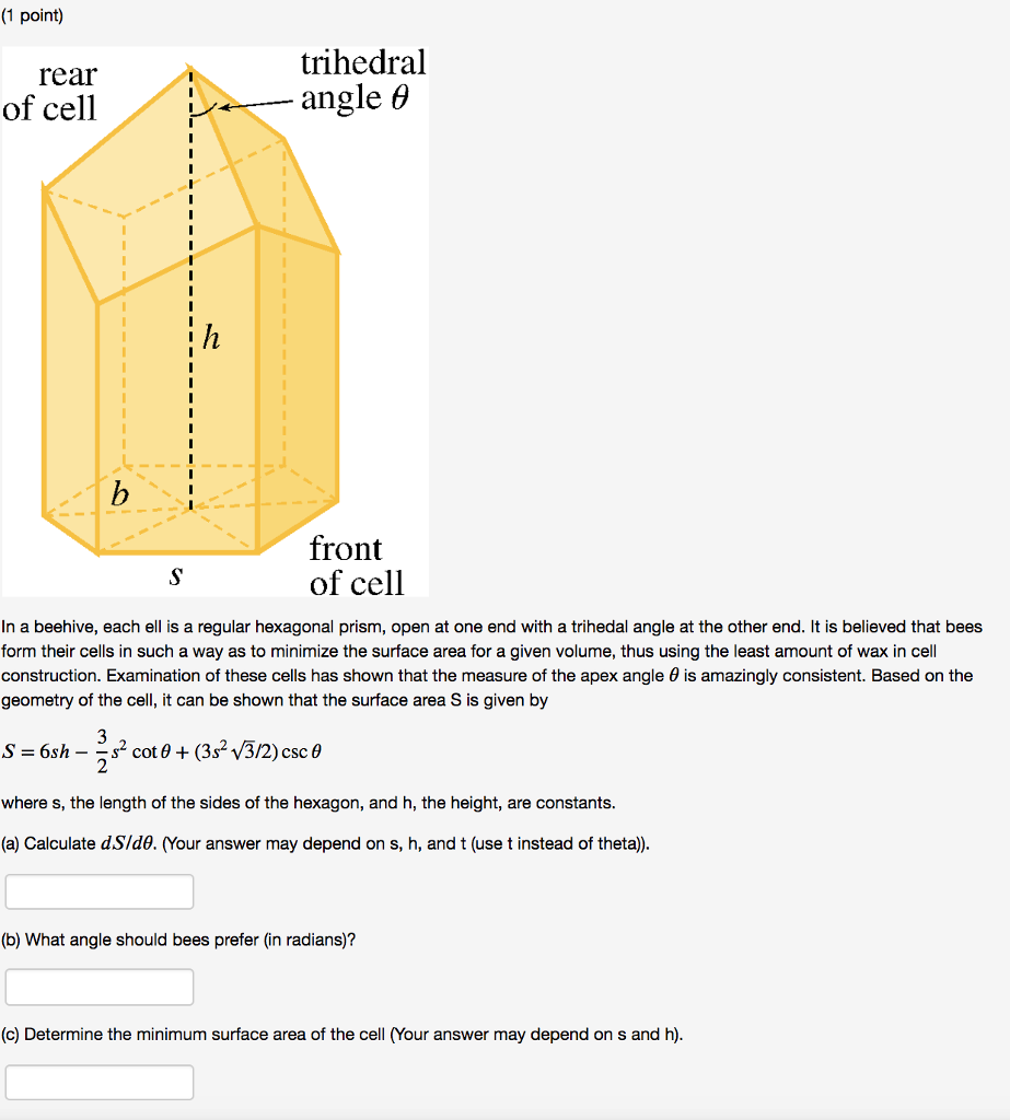 Solved (1 point) trihedral rear of cell front of cell In a | Chegg.com