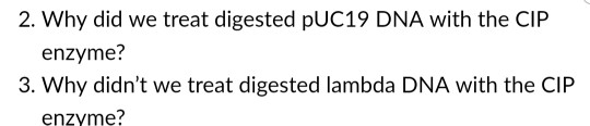 Solved 2. Why did we treat digested pUC19 DNA with the CIP | Chegg.com