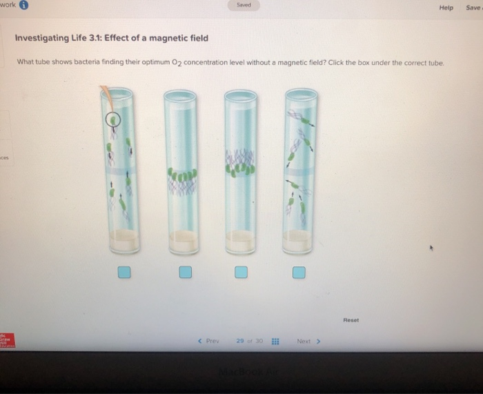 Solved work Saved Help Save Investigating Life 3.1: Effect | Chegg.com