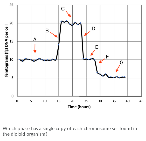Solved femtograms (fg) DNA per cell 0 5 10 15 20 25 Time | Chegg.com