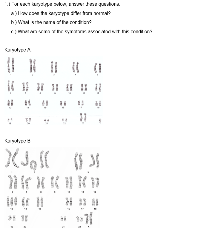 Solved 1.) For each karyotype below, answer these questions: | Chegg.com