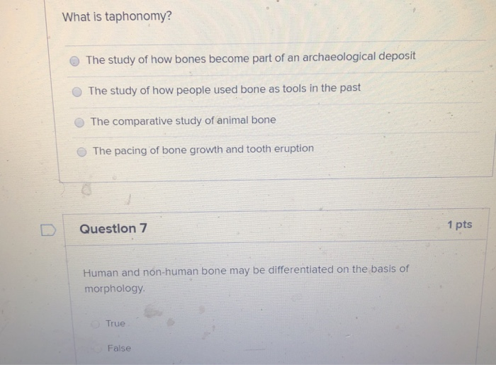 Solved What is taphonomy? The study of how bones become part | Chegg.com