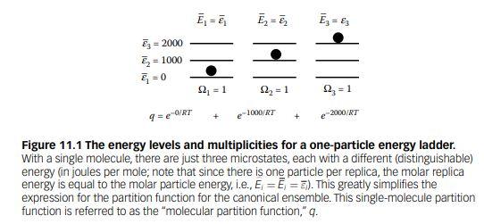 Solved 11.4 Calculate a molecular partition function qB for | Chegg.com