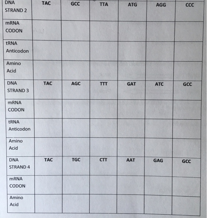 Solved TAC GCC ATG AGG DNA STRAND 2 TTA mRNA CODON tRNA | Chegg.com