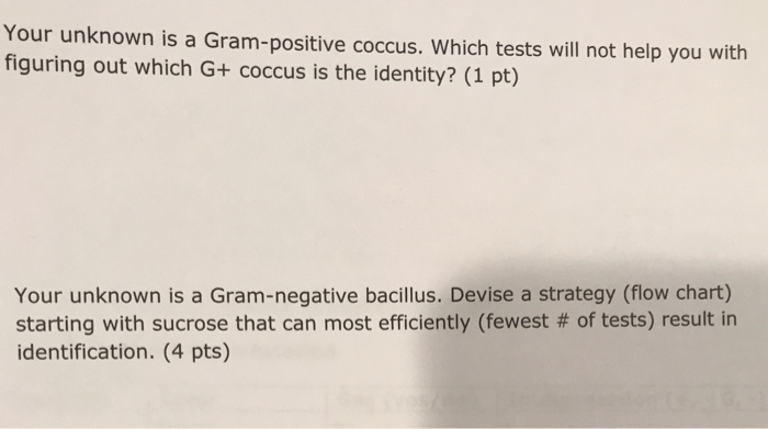 Solved Your unknown is a Gram-positive coccus. Which tests | Chegg.com