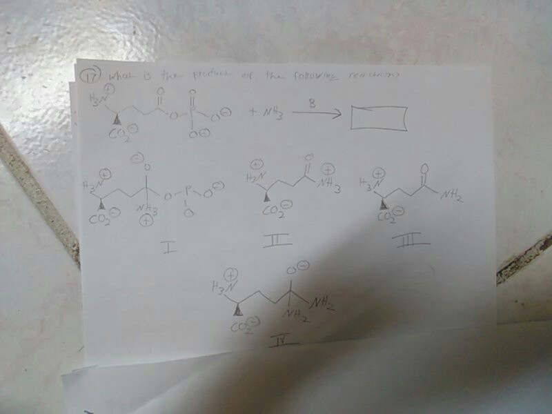 Solved please help me thank you | Chegg.com