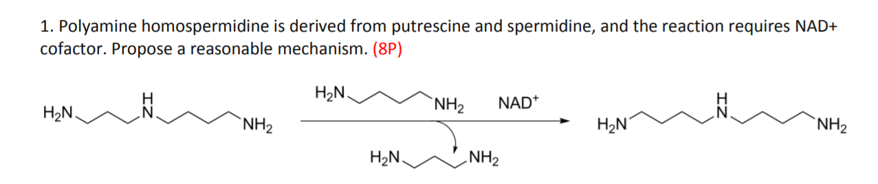 Solved 1. Polyamine homospermidine is derived from | Chegg.com