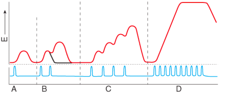 Solved Which portion of this myogram (graph below) shows a | Chegg.com