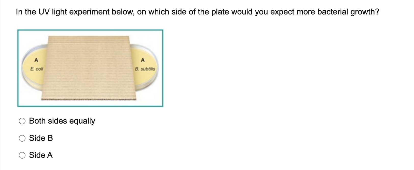 Solved In the UV light experiment below, on which side of | Chegg.com