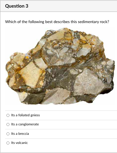 Solved Which of the following best describes this | Chegg.com