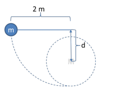 Solved A pendulum with point mass m = 0.1 kg and length l = | Chegg.com